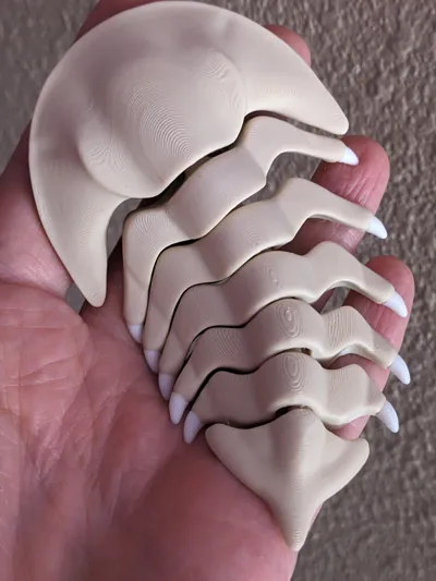 Articulated Trilobite by Jopek Design MakerWorld: Download Free 3D Models