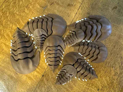 Articulated Trilobite by Jopek Design MakerWorld: Download Free 3D Models