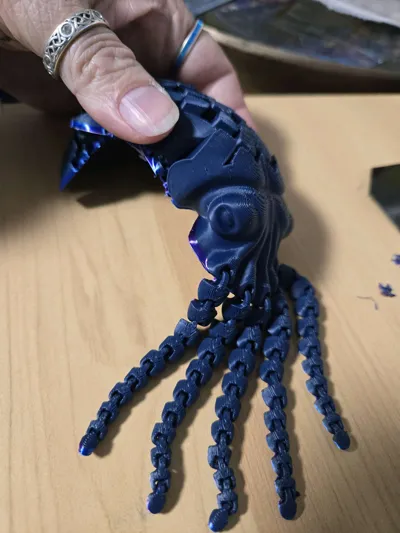 Flexi Cuttlefish by ASTAR MakerWorld: Download Free 3D Models