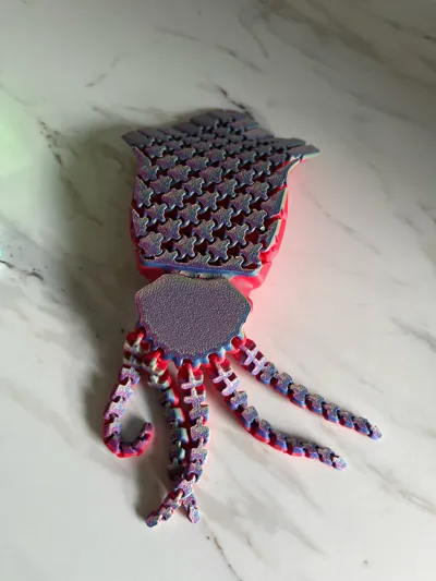 Flexi Cuttlefish by ASTAR MakerWorld: Download Free 3D Models