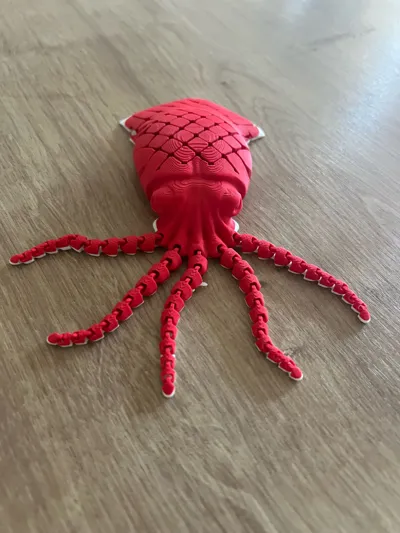 Flexi Cuttlefish by ASTAR MakerWorld: Download Free 3D Models