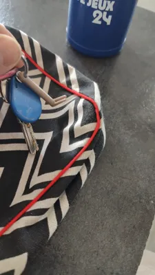 Tick Remover Keychain by mika MakerWorld: Download Free 3D Models