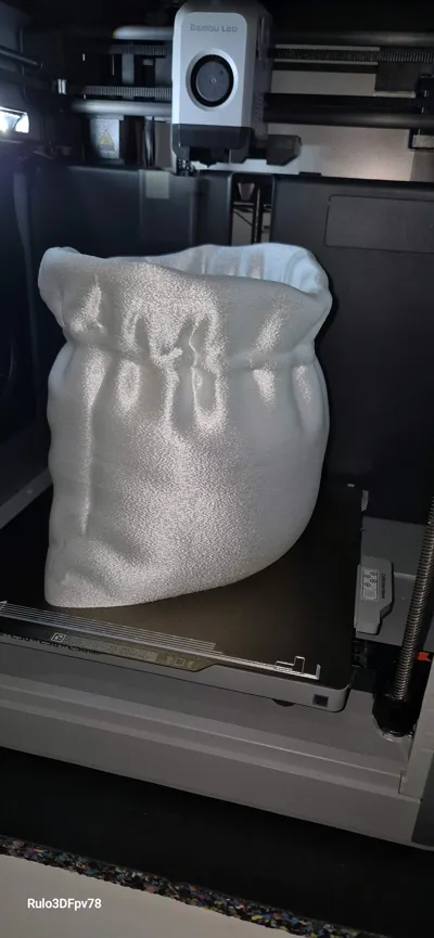 Soft Bag Vase – 3D Printed Fabric-Effect Sack - Free 3D Print Model ...