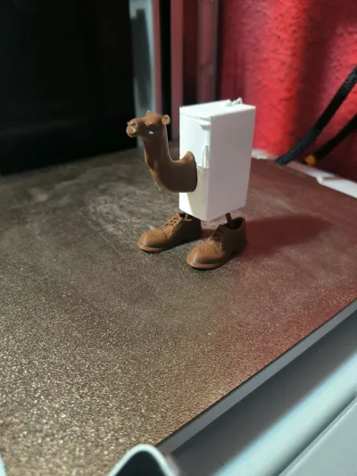 Frigo Camelo Brainrot meme, Single & Multicolor by N405 MakerWorld ...