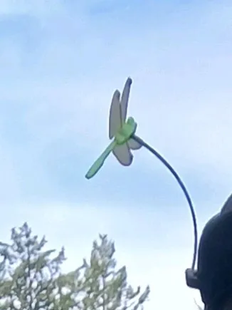 Mosquito-Repelling Dragonfly - Biomimetic Design for Hat Brims by ...