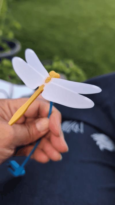 Mosquito-Repelling Dragonfly - Biomimetic Design for Hat Brims - Free ...