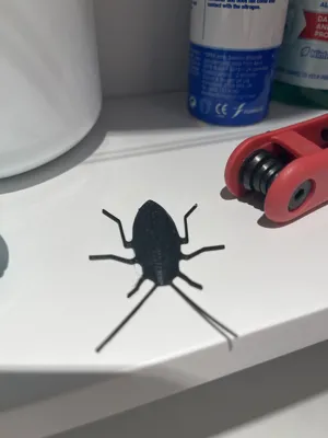 cockroach by BODY MECHANIC - MakerWorld