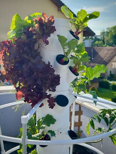 Vertical Garden - Large Hydroponic Vegetable Tower by Structales ...