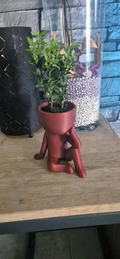 THINKER PLANTER by StevieWander MakerWorld: Download Free 3D Models