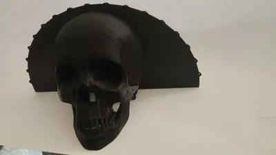 Human Skull Shelf - Free 3D Print Model - MakerWorld