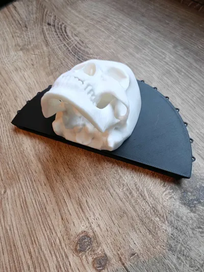 Human Skull Shelf by WhatIsHeBuildingInThere MakerWorld: Download Free ...