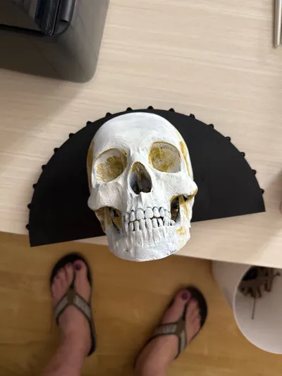 Human Skull Shelf - Free 3D Print Model - MakerWorld