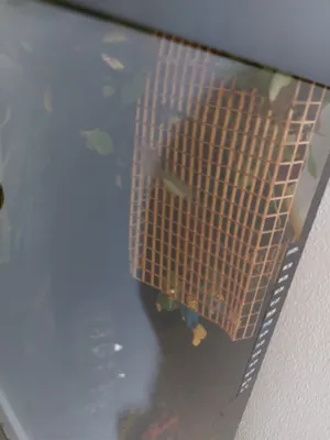 Aquarium/Terrarium Egg Crate for Hardscape and Plant/Moss Propogation ...