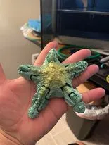 Articulated Starfish by BODY3D - MakerWorld