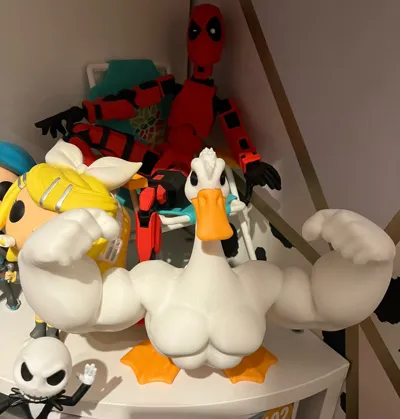 Goose on Steroids - multipart - noAMS - noGlue by RUMcajz MakerWorld ...