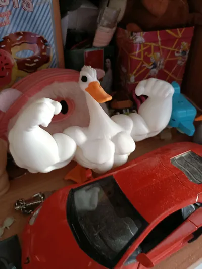 Goose on Steroids - multipart - noAMS - noGlue by RUMcajz MakerWorld ...