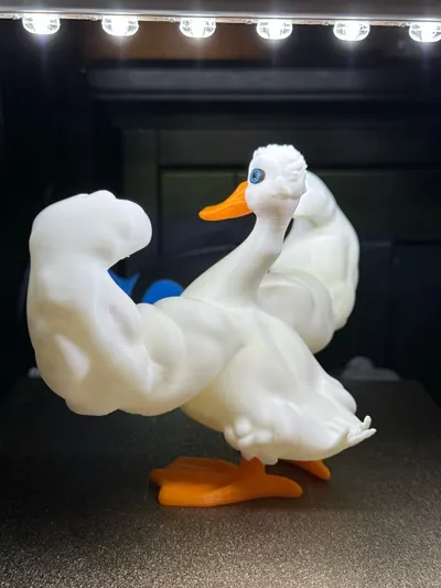 Goose on Steroids - multipart - noAMS - noGlue by RUMcajz MakerWorld ...