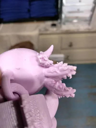 Amazing Axolotl - Articulated Fidget Axolotl by Bloom Studio MakerWorld ...