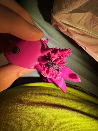 Amazing Axolotl - Articulated Fidget Axolotl by Bloom Studio MakerWorld ...