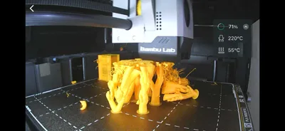 Anxiety Inside Out / NO AMS by Ethanprint3D MakerWorld: Download Free 3D Models