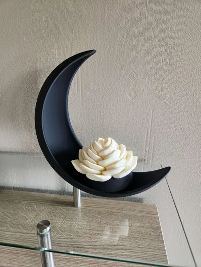 Crescent Moon Decoration With Elliptical Plant Pot by Deltaprints ...