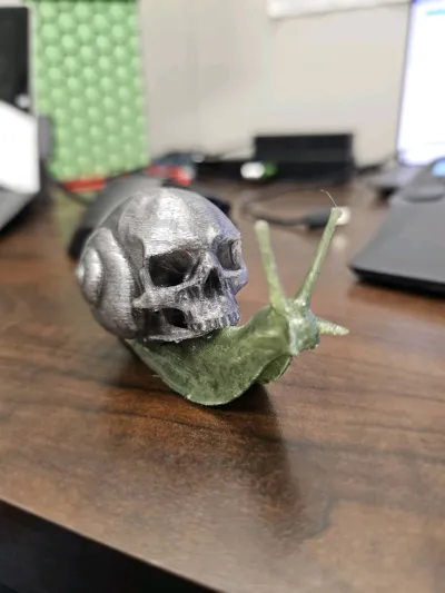 Snail Skull by OverhangOverlord MakerWorld: Download Free 3D Models