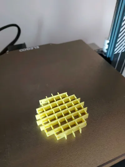 Fidget morf worm very fast print by defaltprinterer MakerWorld ...