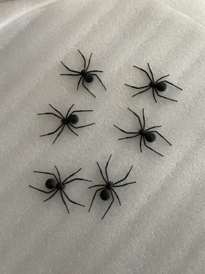 Black Widow TPU Spider by agepbiz MakerWorld: Download Free 3D Models