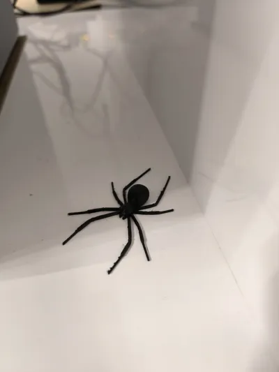 Black Widow TPU Spider by agepbiz MakerWorld: Download Free 3D Models