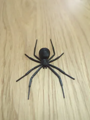 Black Widow TPU Spider - Free 3D Print Model - MakerWorld
