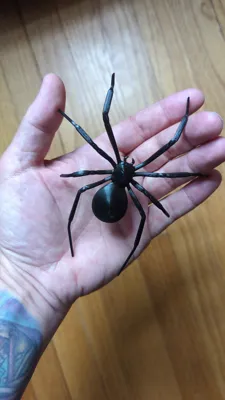 Black Widow TPU Spider by agepbiz MakerWorld: Download Free 3D Models