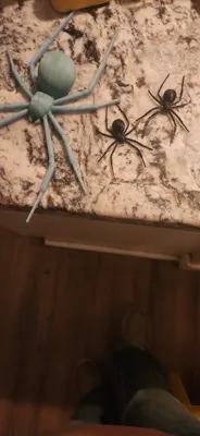 Black Widow TPU Spider by agepbiz MakerWorld: Download Free 3D Models