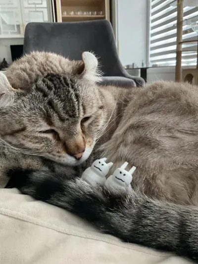 Gubby (pretty accurate) by fuwatti MakerWorld: Download Free 3D Models