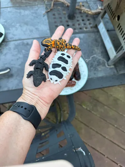 MINI Gila Monster - Free 3D Print Model - MakerWorld