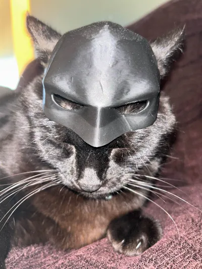 Batcat Mask / CatMan The Dark Meow Cat Bat Mask - Free 3D Print Model ...