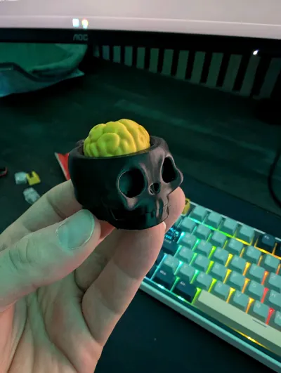 Skull / Brain Keyboard Clicker & Keychain No Suppo - Free 3D Print ...