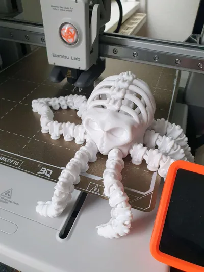 Articulated Skeleton Octopus by 3DPrintyi MakerWorld: Download Free 3D ...