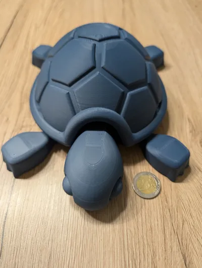 Cutie Baby Turtle by squinn MakerWorld: Download Free 3D Models