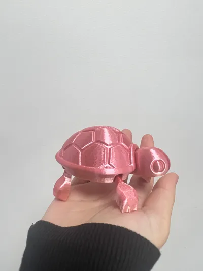Cutie Baby Turtle by squinn - MakerWorld
