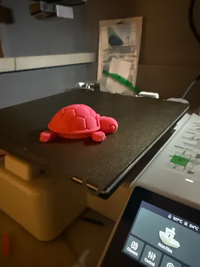 Cutie Baby Turtle by squinn MakerWorld: Download Free 3D Models