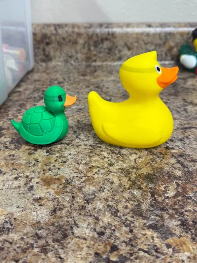 Turtle Duck - Free 3D Print Model - MakerWorld