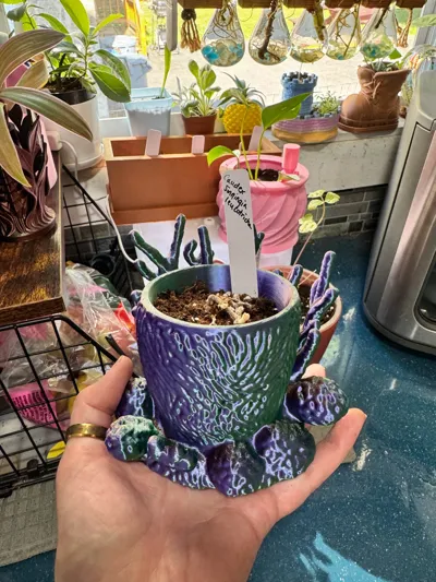 Coral Reef Planter – Ocean-Inspired Organic Beauty - Free 3D Print ...