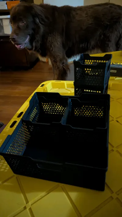 110x110mm Square Stacking Baskets by Eternity Labs MakerWorld: Download ...