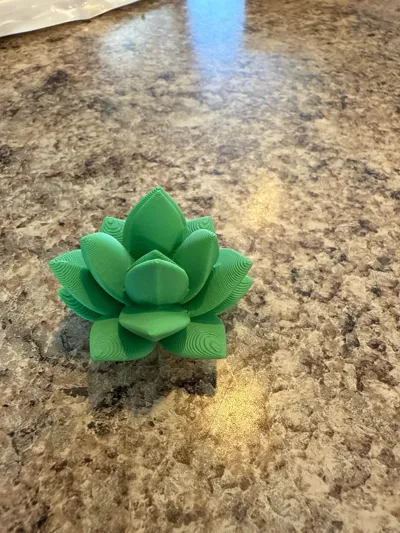 Chibi Succulent Planter Buddy by charleytc MakerWorld: Download Free 3D ...