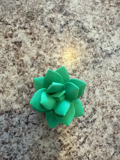 Chibi Succulent Planter Buddy by charleytc MakerWorld: Download Free 3D ...