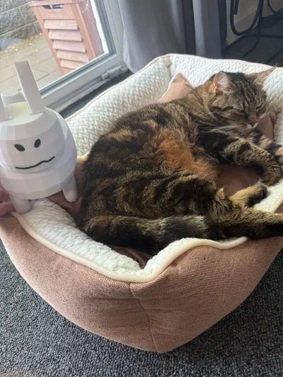 Gubby (pretty big) by Flimp da blimp MakerWorld: Download Free 3D Models