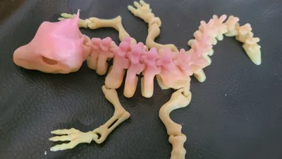 Articulated Skeleton Lizard by 3D design MakerWorld: Download Free 3D ...