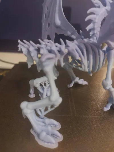 Bone Dragon - Free 3D Print Model - MakerWorld