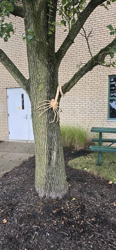 Facehugger body - remix - Free 3D Print Model - MakerWorld