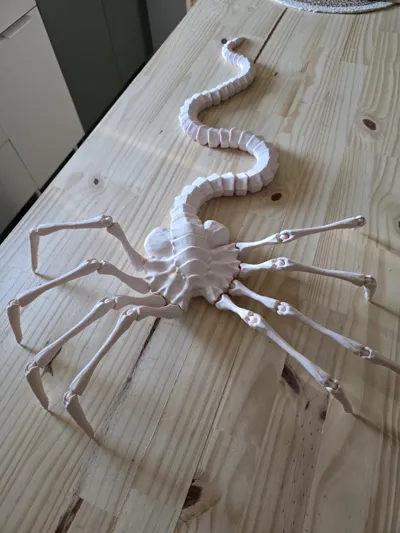 Facehugger body - remix Remixed by indianin666 MakerWorld: Download ...